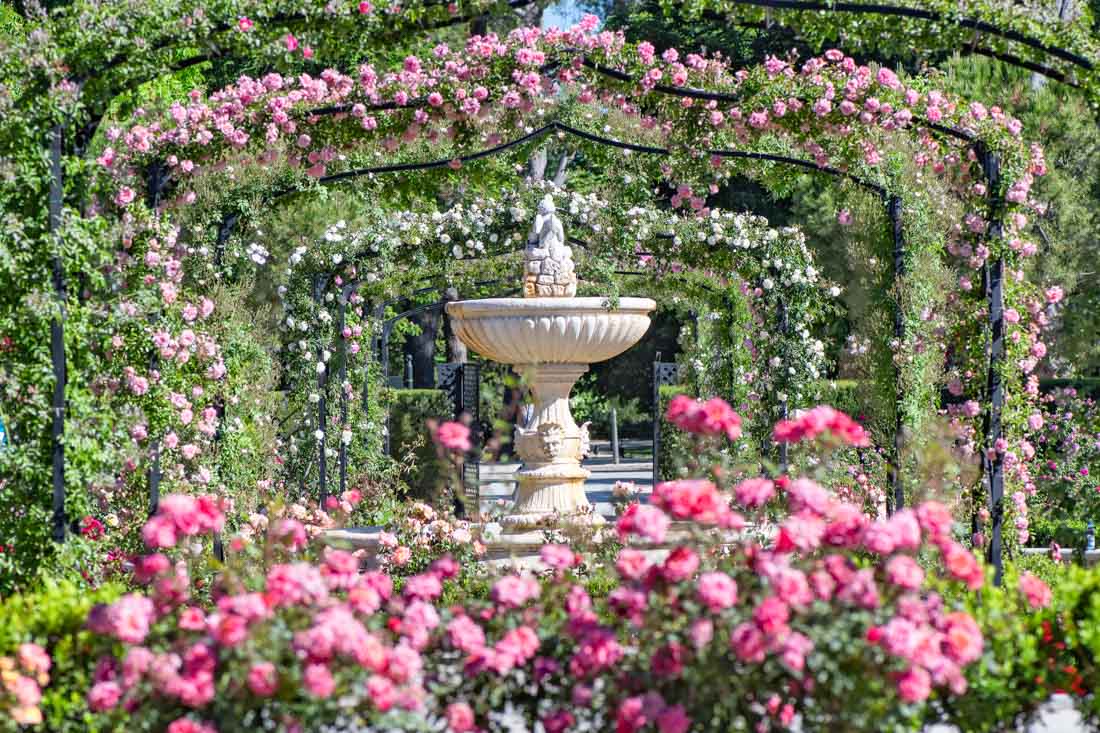 La Rosaleda de Cecilio Rodríguez en el Parque del Retiro